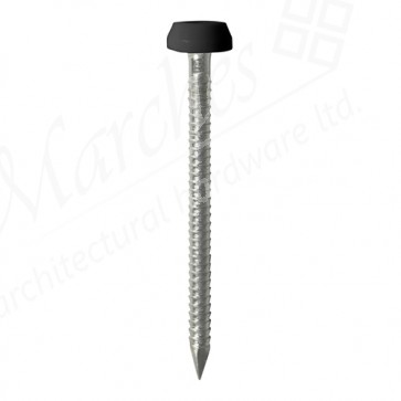 40mm Polymer Head Nails Black (250) - Plastic Top Nails - Nails & Pins ...