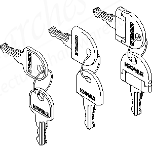 Master key cylinder core with plate levers - Removable core locks ...