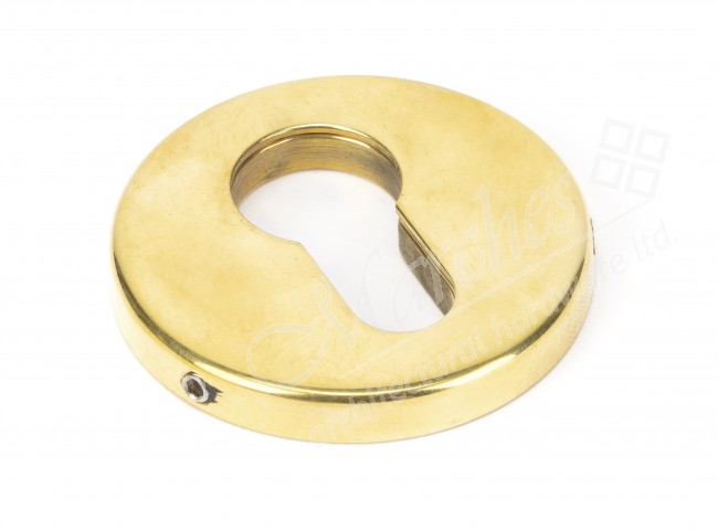 Regency Concealed Fix Escutcheon - Aged Brass - Escutcheons ...