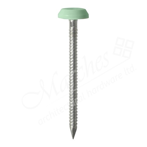 65mm Polymer Head Nails Chartwell Green Large Head (100) - Plastic Top Nails - Nails & Pins ...