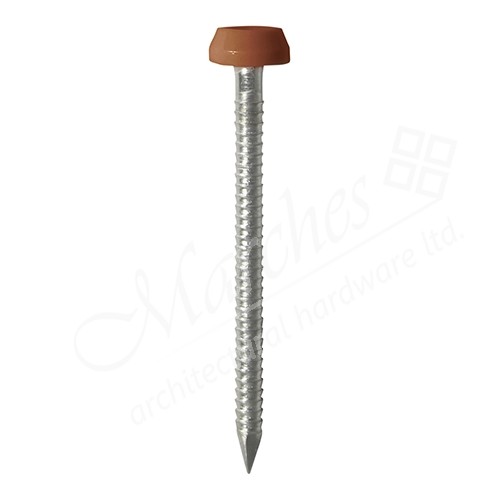 40mm Polymer Head Nails Brown (250) - Plastic Top Nails - Nails & Pins ...